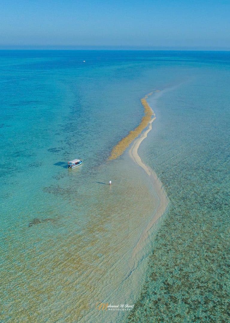 Pictures ... stunning views in turquoise beach in western Saudi Arabia ...