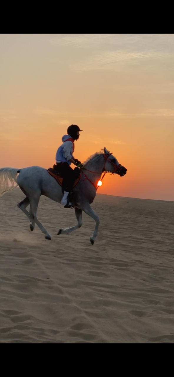 Know the story of the only Saudi knight in Khalidiya race | Leaders