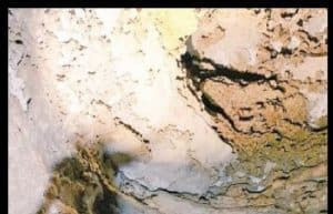 Caves | Leaders