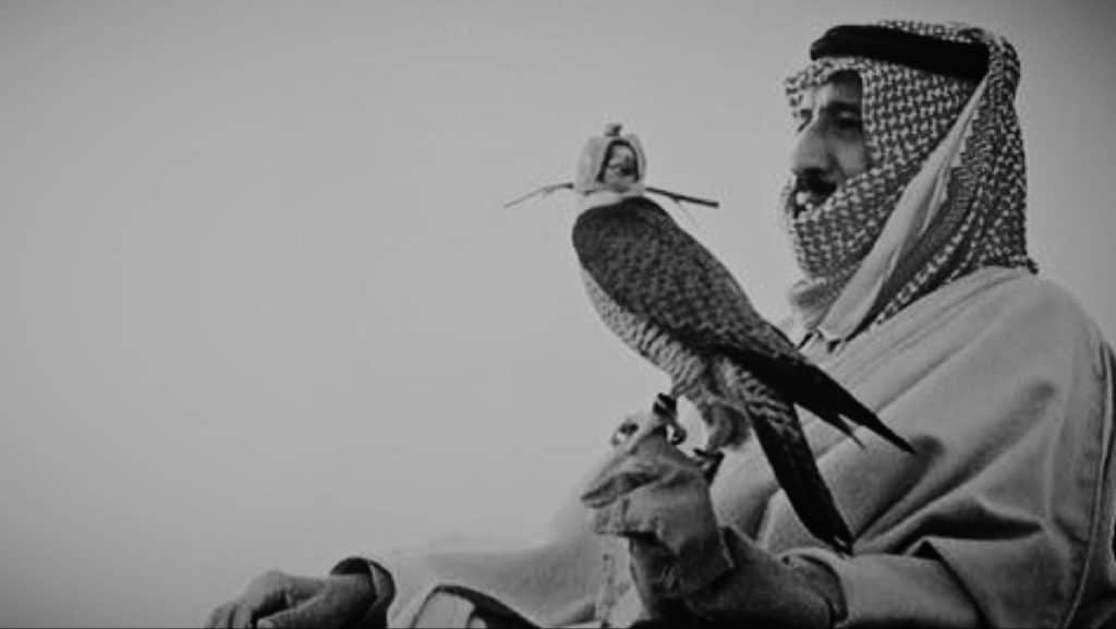 Falconry: Saudi Kings’ Preferable Hobby | Leaders