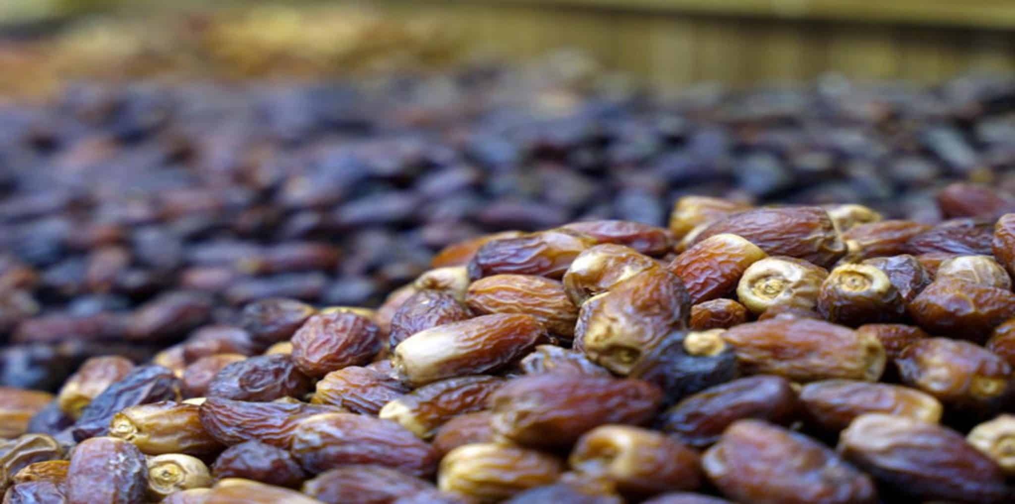 Madinah Date Season Boosts Saudi's Sweet Industry | Leaders