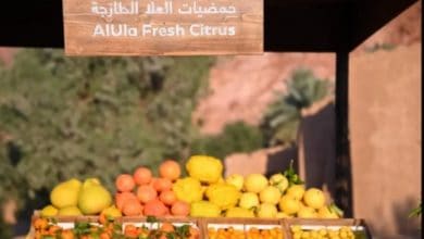 Royal Commission for AlUla Inaugurates AlUla Exhibition in China | Leaders