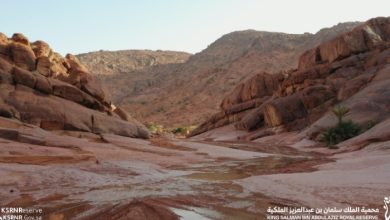 Saudi Arabia Steals Spotlight as One of Top 5 Countries Participating ...