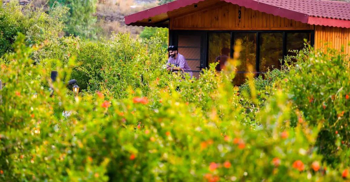 In Photos: Al-Baha Farms Offer Unique Tourist Experience | Leaders