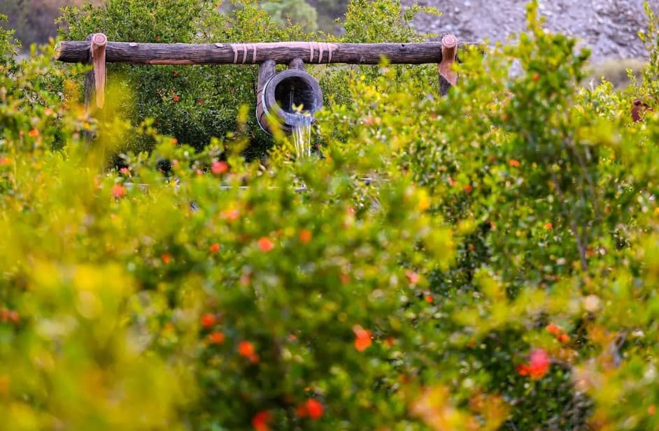 In Photos: Al-Baha Farms Offer Unique Tourist Experience | Leaders