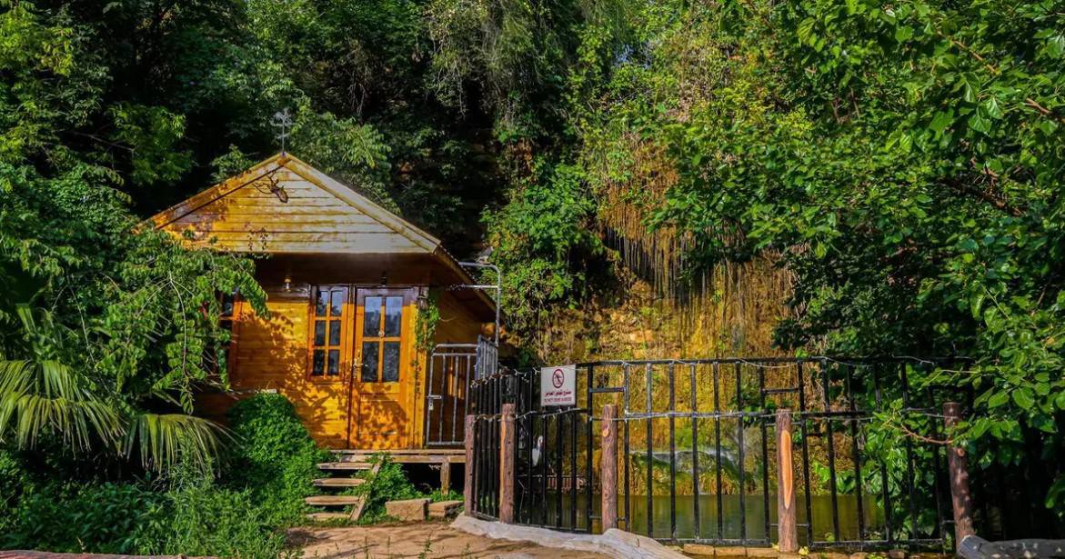 In Photos: Al-Baha Farms Offer Unique Tourist Experience | Leaders