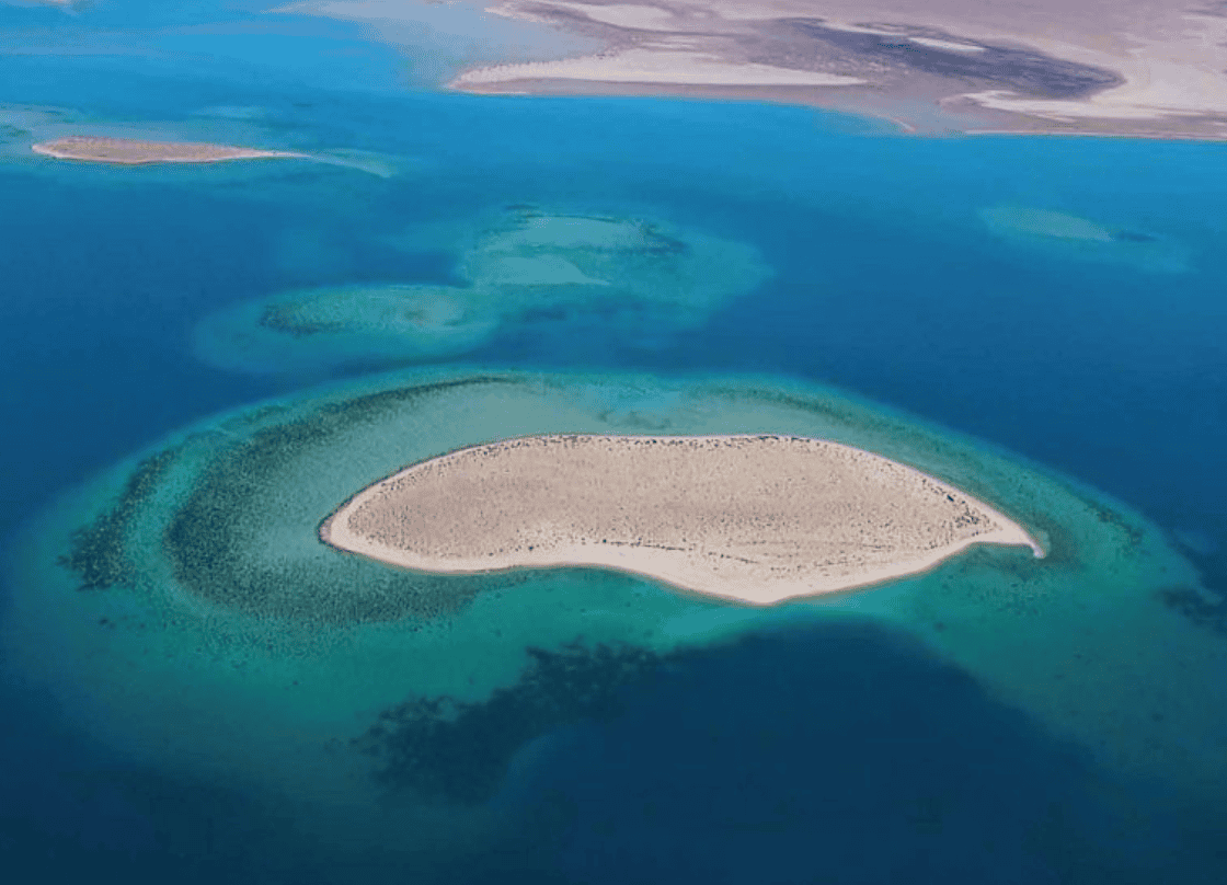 Discover Umluj: The Maldives of Saudi Arabia | Leaders