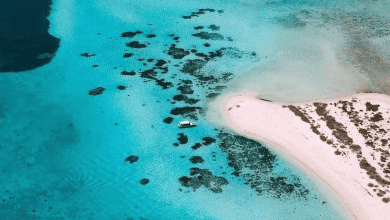 Discover Umluj: The Maldives of Saudi Arabia | Leaders