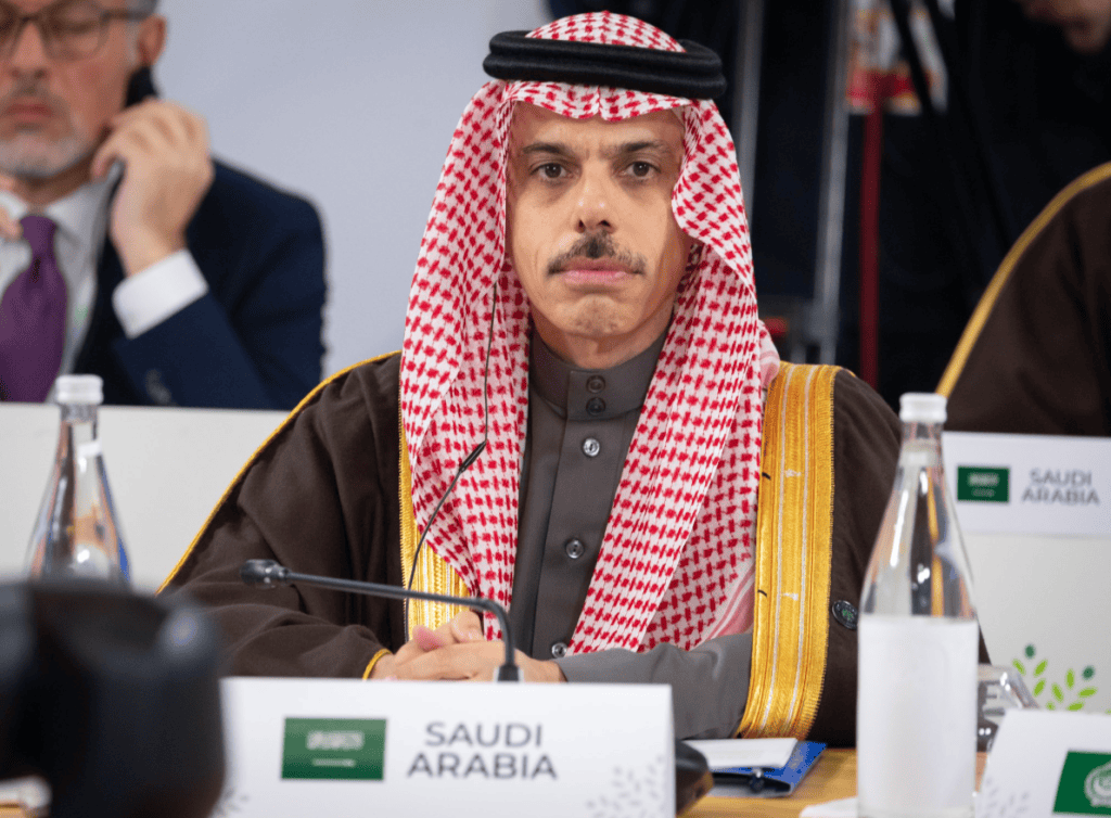 Year-end Review: Saudi Arabia Leads Efforts Towards Regional Stability ...