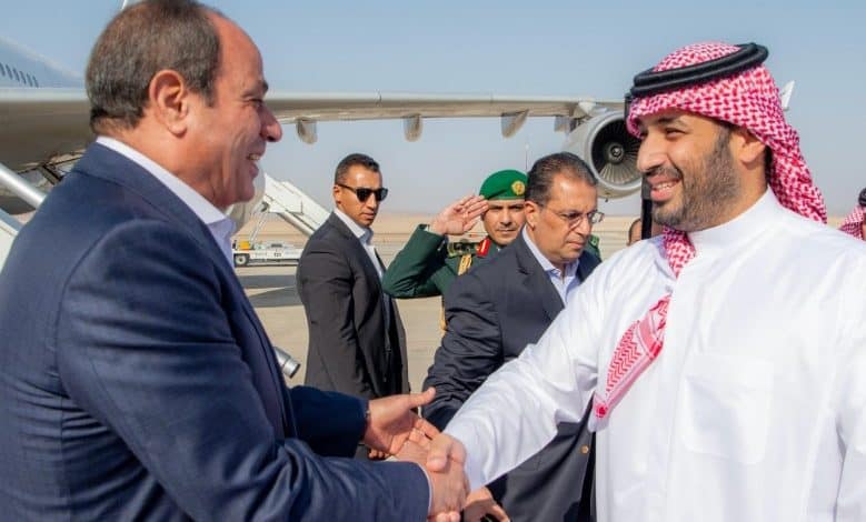 Saudi Crown Prince, Egypt's Al-Sisi Underscore Depth of Bilateral ...